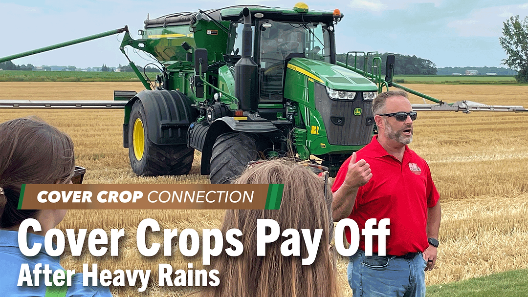 Cover Crops Pay Off After Heavy Rains