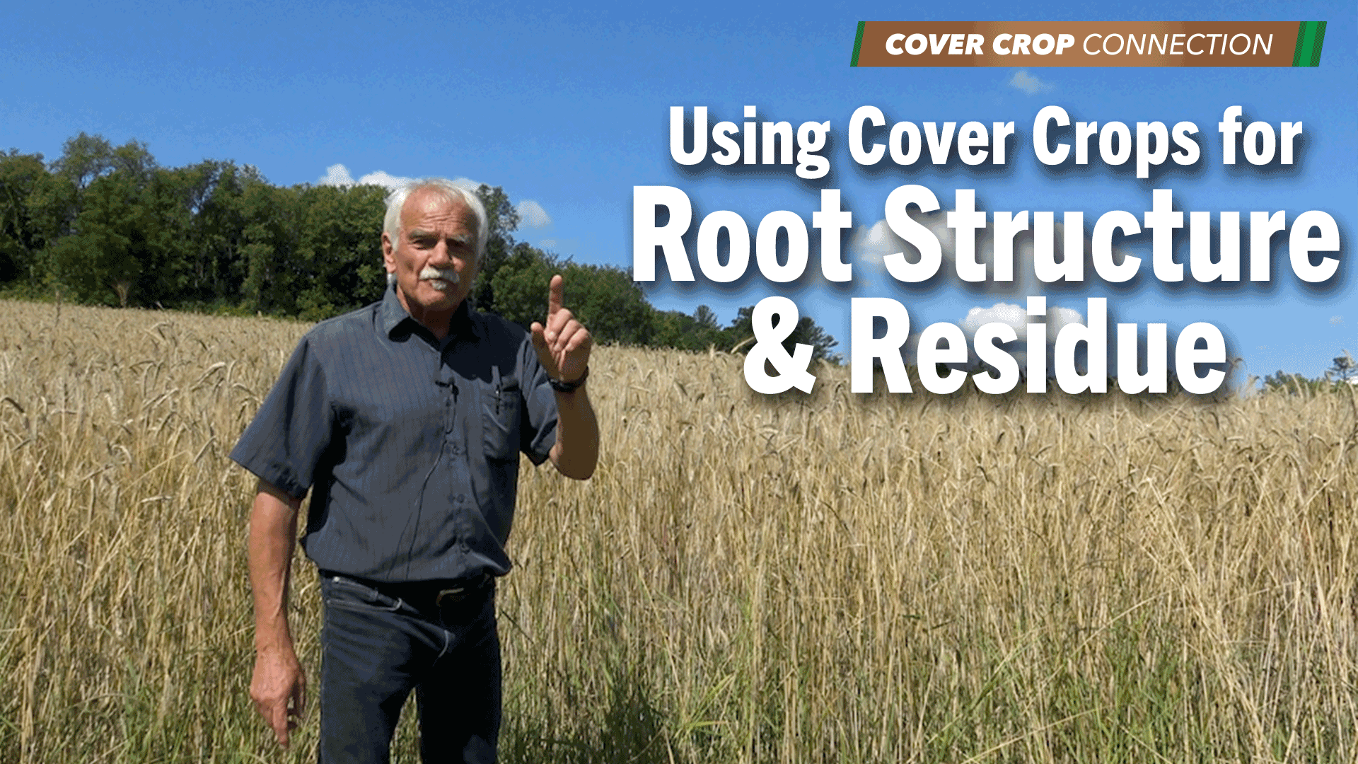 Using Cover Crops for Root Structure & Residue