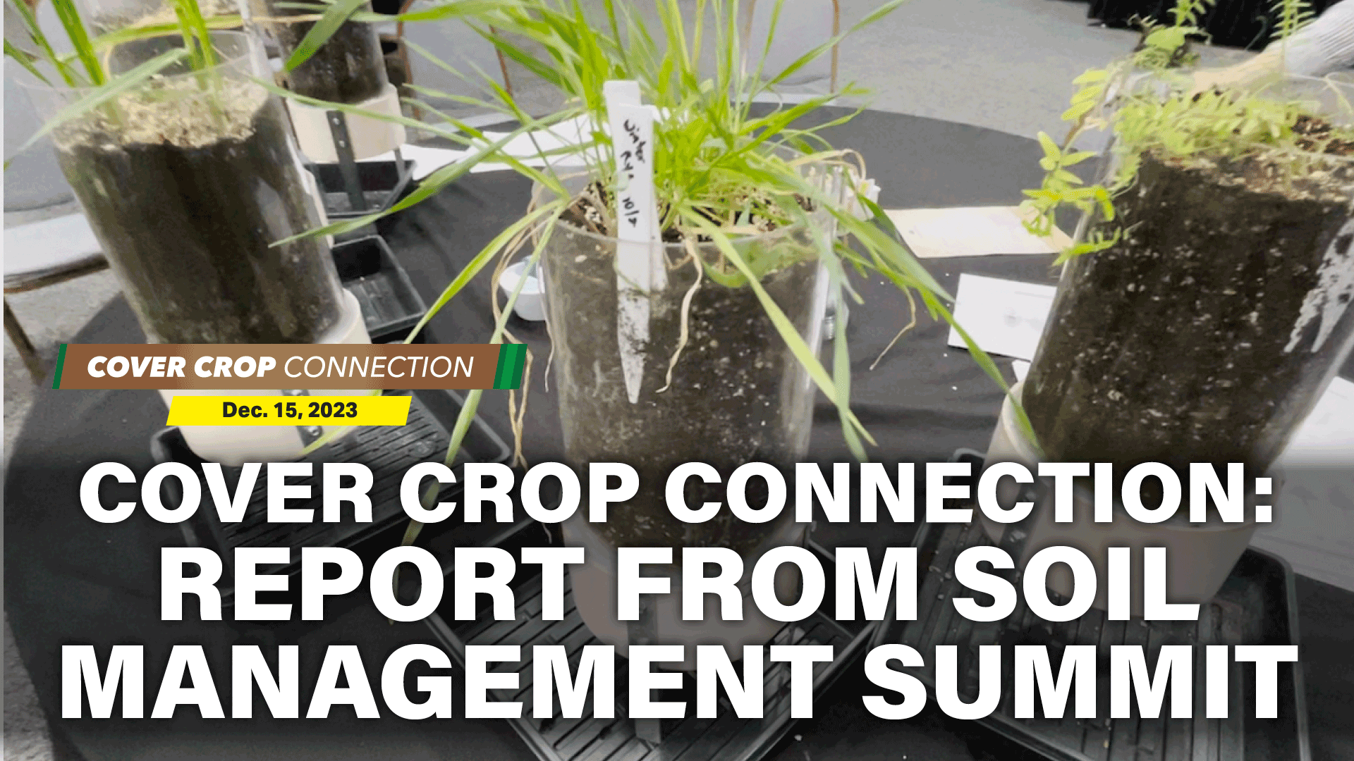 Understanding the Role of Cover Crop Root Exudates