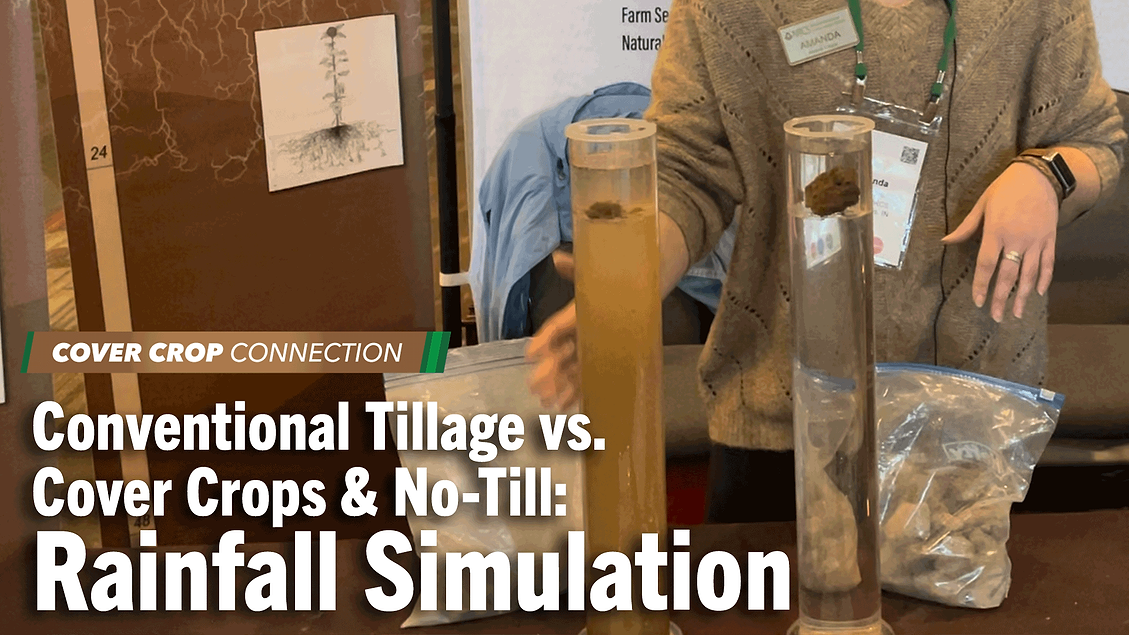 Conventional Tillage vs. Cover Crops & No-Till: Rainfall Simulation