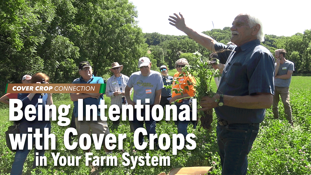 Being Intentional with Cover Crops in Your Farm System