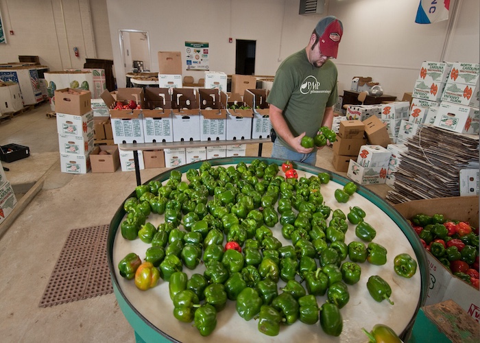Census of Agriculture Reveals the Promise of Regional Food Systems