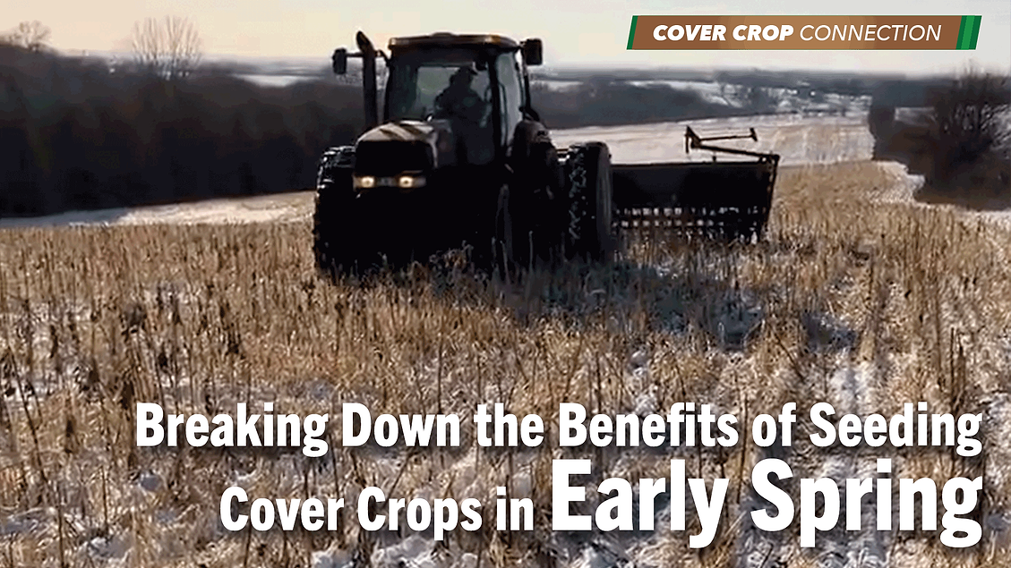 Breaking Down the Benefits of Seeding Cover Crops in Early Spring