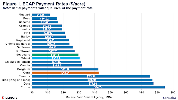 More Details, Analysis on ECAP Economic Assistance Funds, Applications