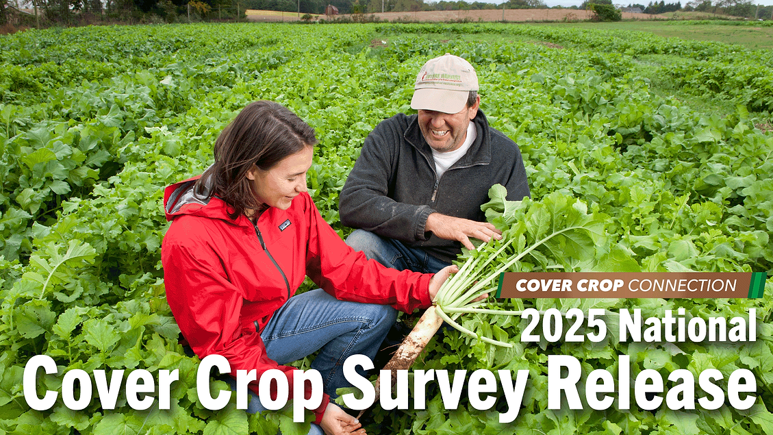 2025 National Cover Crop Survey Release