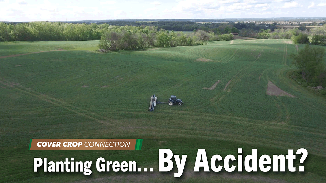 Planting Green… By Accident?