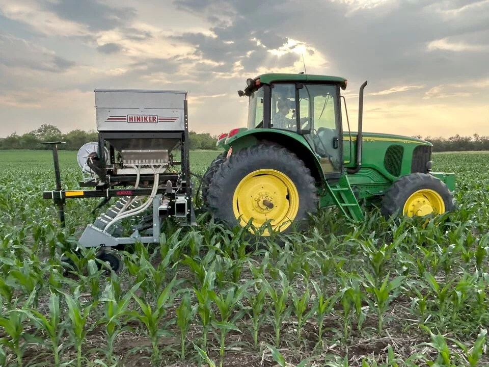 Cover Crop Inter-Seeding: An Option for Fall Forage?