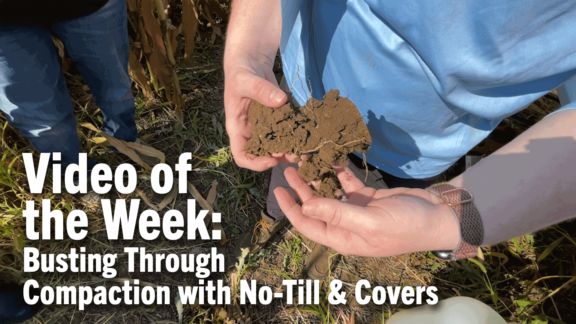 Video of the Week: Busting Through Compaction with No-Till & Covers