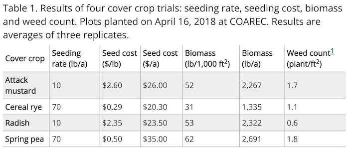 Cover Crop Trials Explore Weed Suppression & Crop Emergence