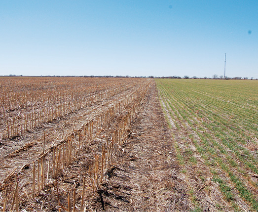 Double Cropping Example