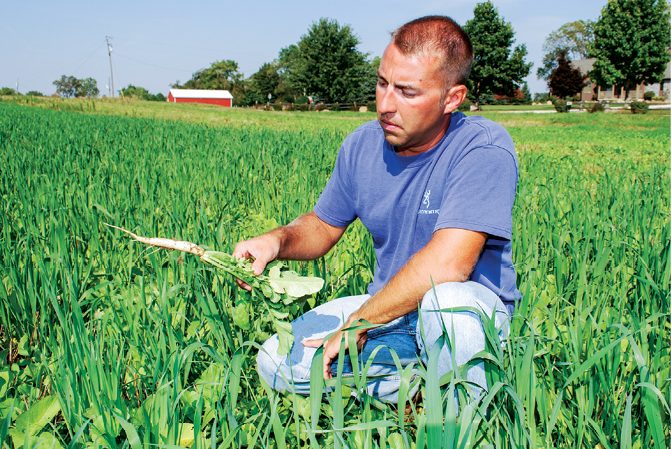 What I've Learned From No-Tilling: Cover Crops Take Root for Indiana No ...