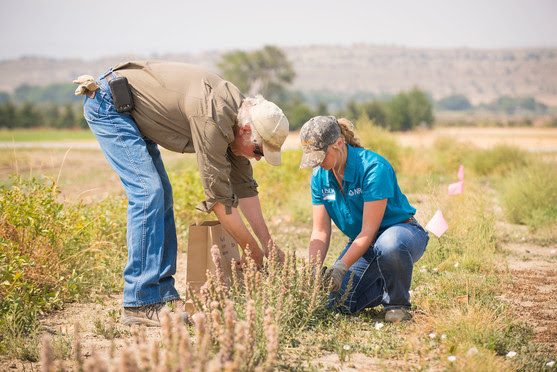 USDA Invites Input on Conservation Stewardship Program Rule
