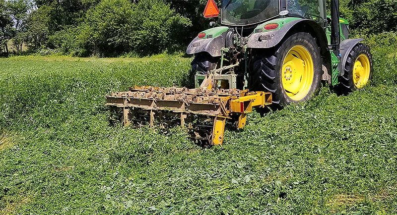 How to Get Effective Cover Crop Termination with Roller-Crimping