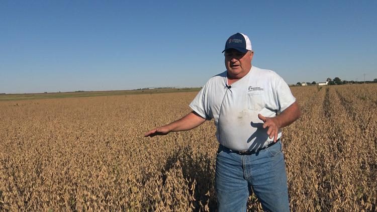 No-Till, Cover Crops Key to Building Healthy Soil | 2019-10-22