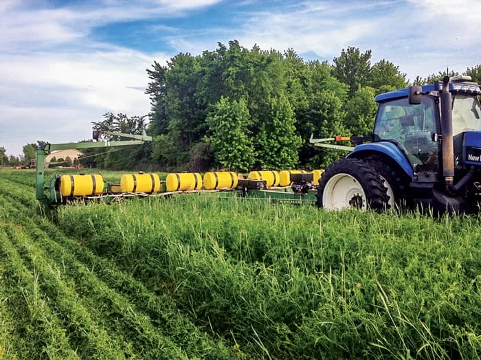 Planting Green Comes With Benefits, Risks