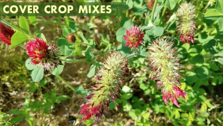 [Video] Mix It Up with Cover Crops | 2020-10-14