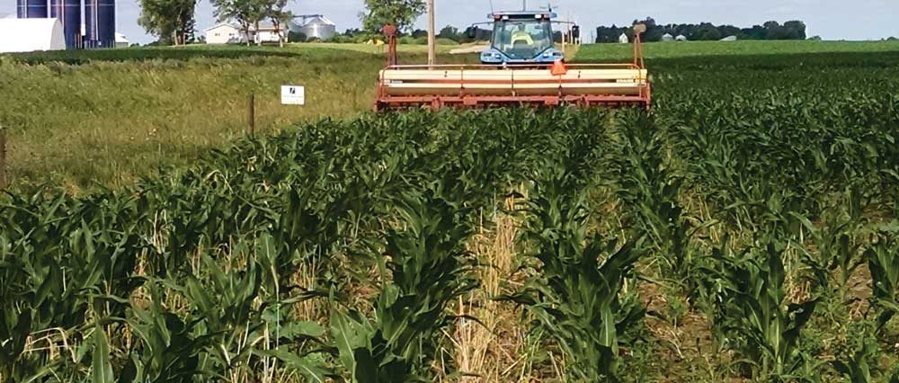 Interseeding Covers & Variable Rate Sidedressing | 2021-07-15