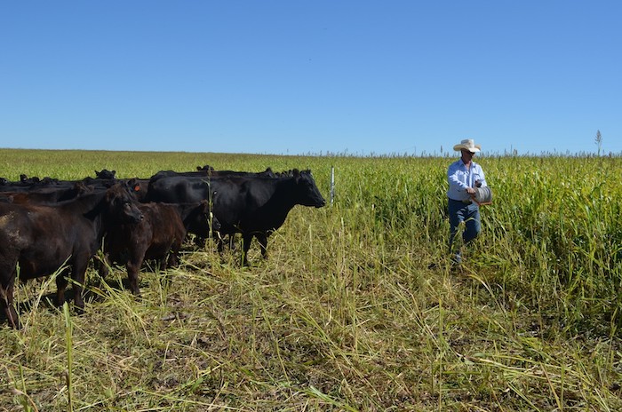 Cover Crops Incentivized to Minimize Profit Loss from Poor Soil Health