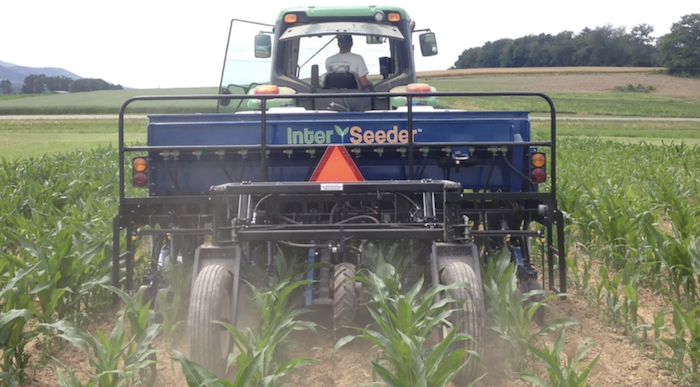 Can Interseeding Cover Crops Work?