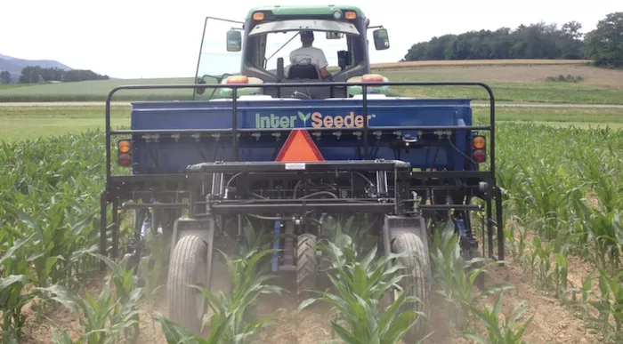 Can Interseeding Cover Crops Work?