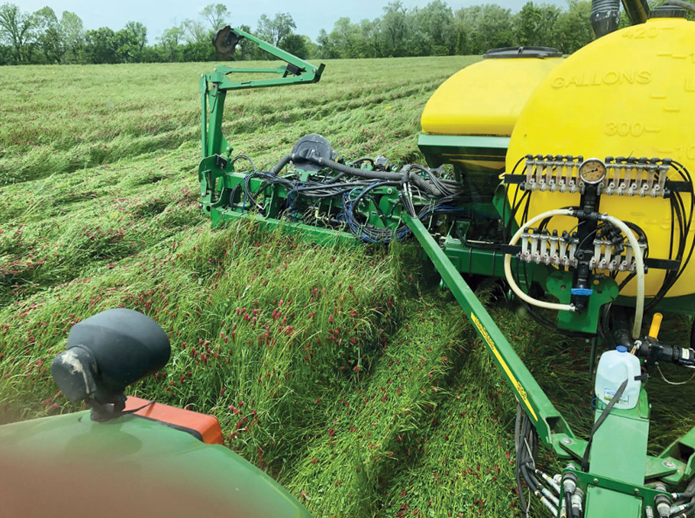 Pros, Cons & Cautionary Tales on Planting Green