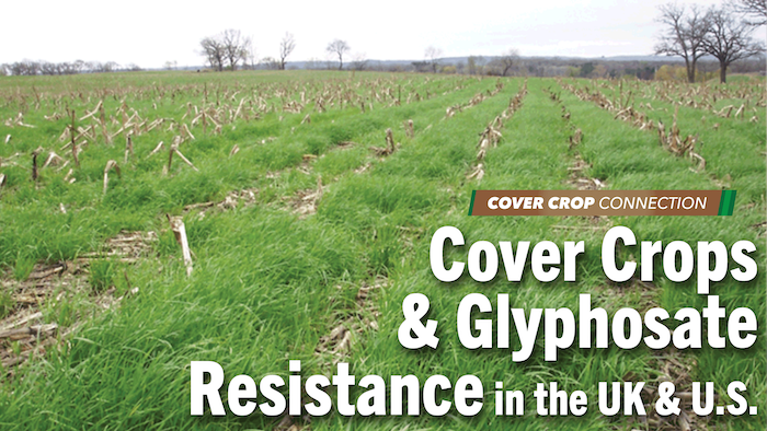 Looking Into Cover Crops & Glyphosate Resistance in the UK & U.S.