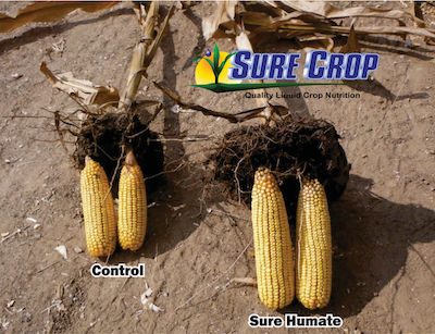 Product Showcase: Sure Humate From Sure Crop Fertilizers