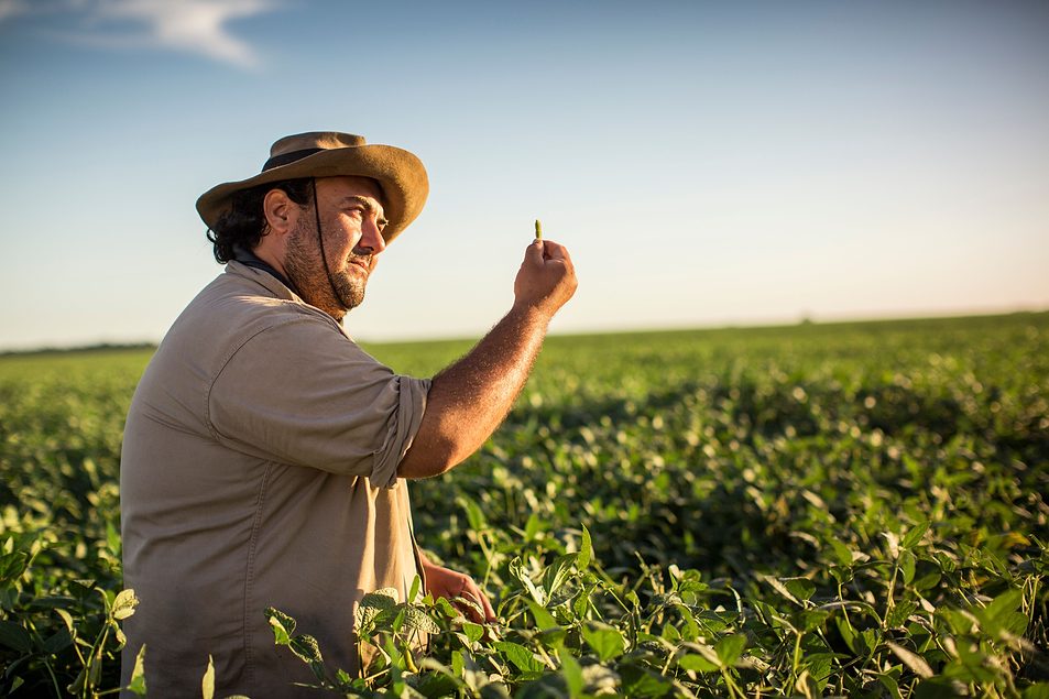 New Syngenta Insect Control Ingredient to Be Available for 40+ Crops