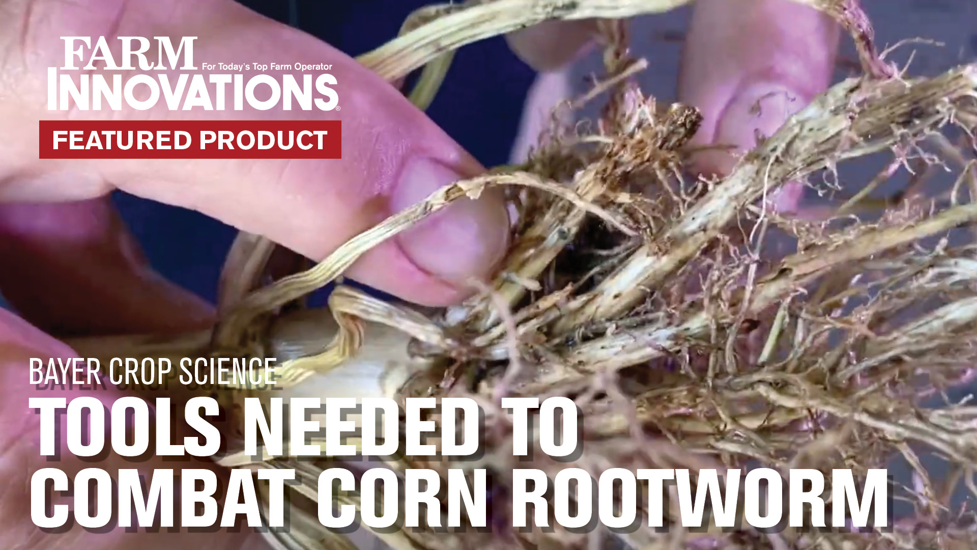 Cover Crop Videos